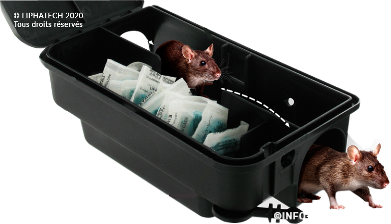 Pourquoi et comment utiliser une boîte d’appâtage ? - Info rongeurs